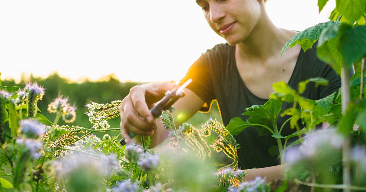 Creativity and sustainability courses | Migros Commitment