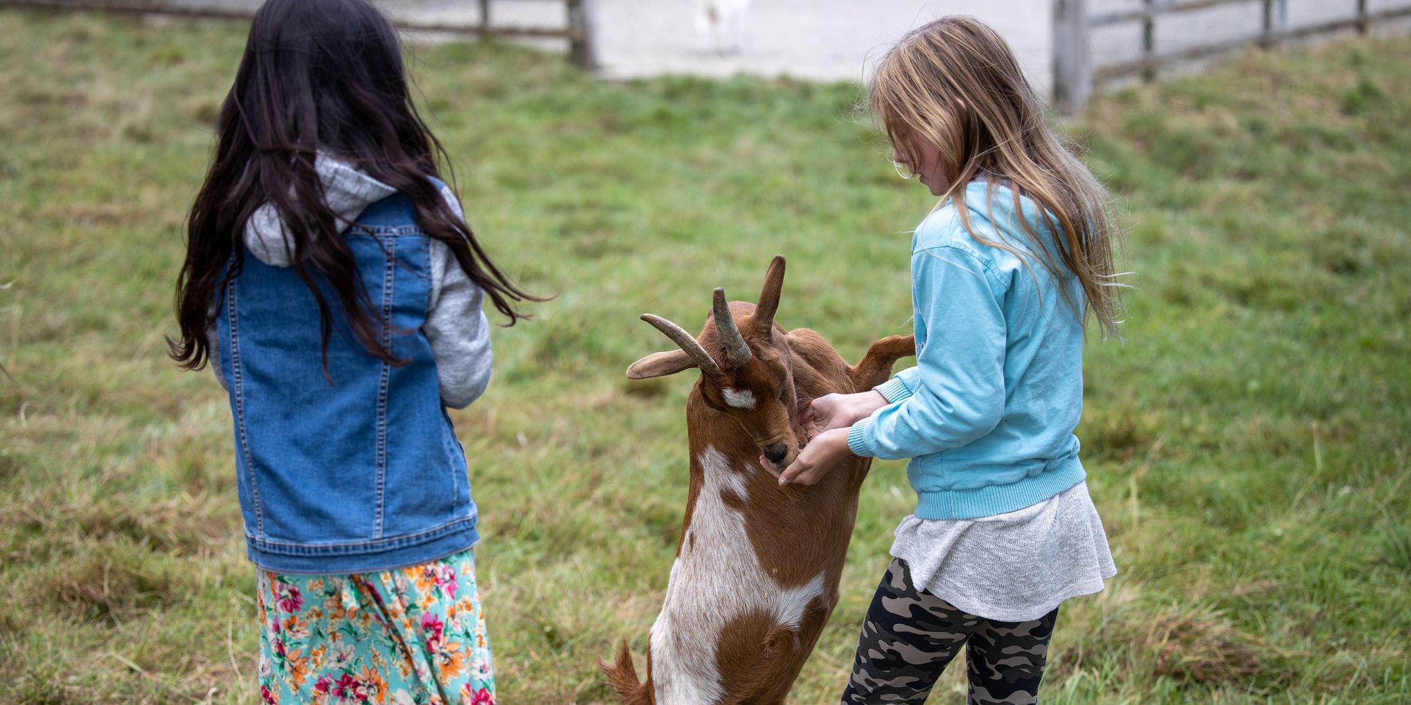 Signal de Bougy | Engagement Migros