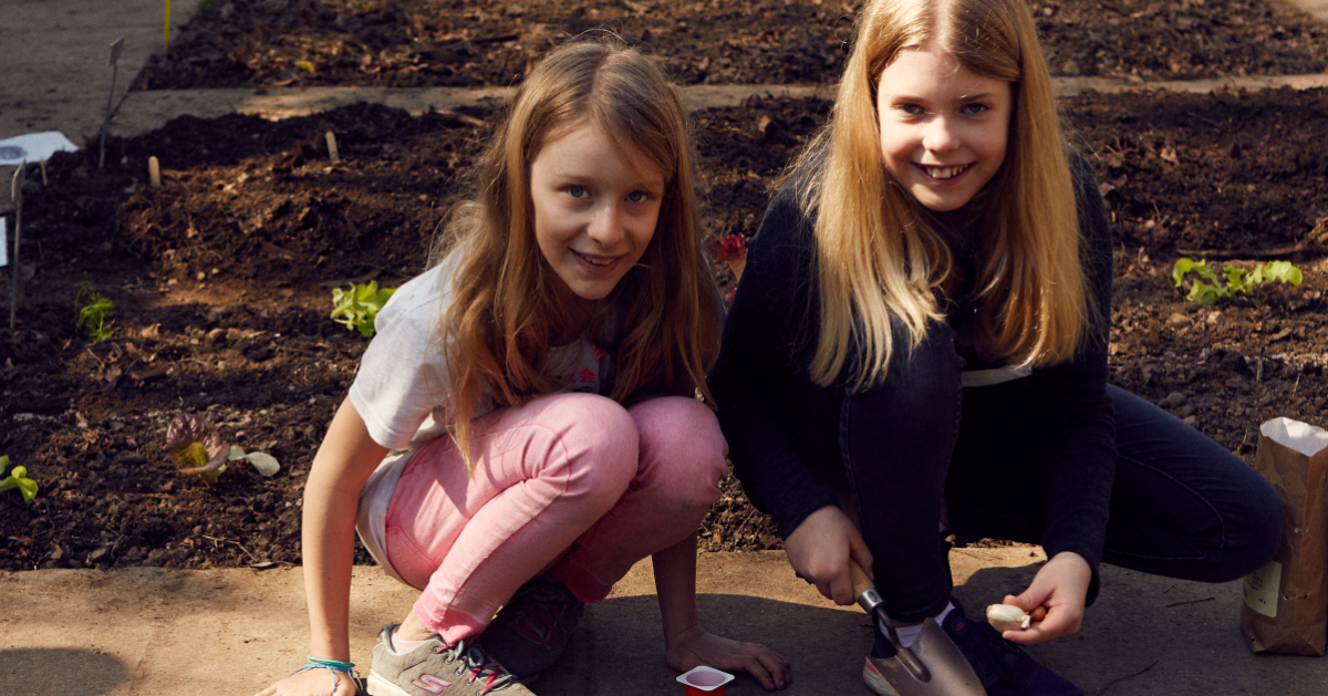 VegetableAcademy pioneer project | Migros Commitment