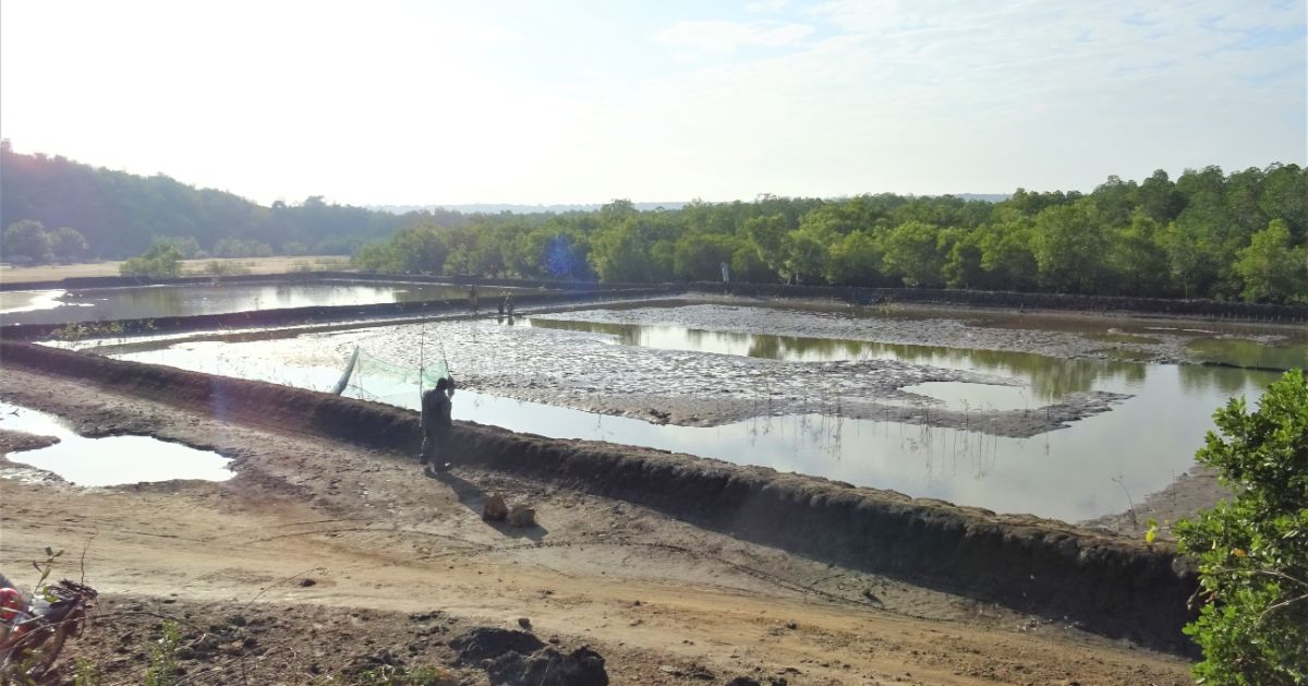 Swissaid: fish farming in Tanzania | Migros Commitment