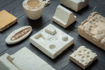 Migros Pioneer Fund | Migros Commitment